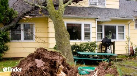 Does home insurance cover tree damage? | Finder