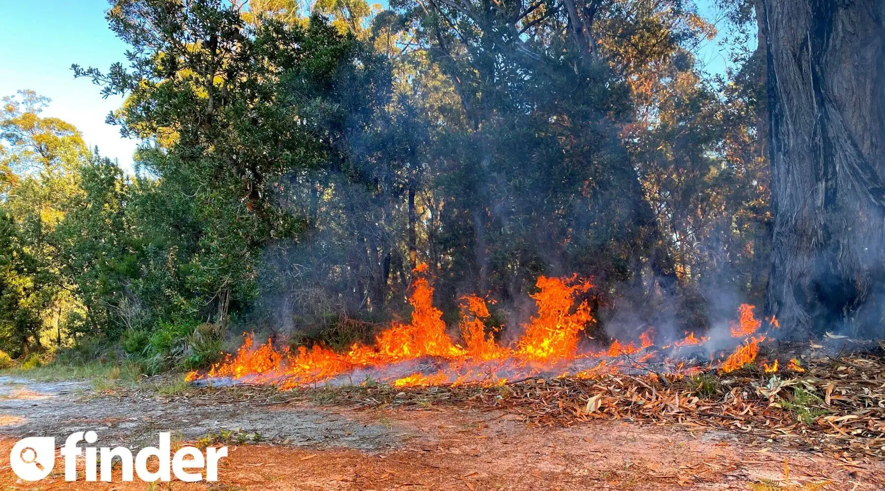 Bushfire Statistics Australia | finder.com.au
