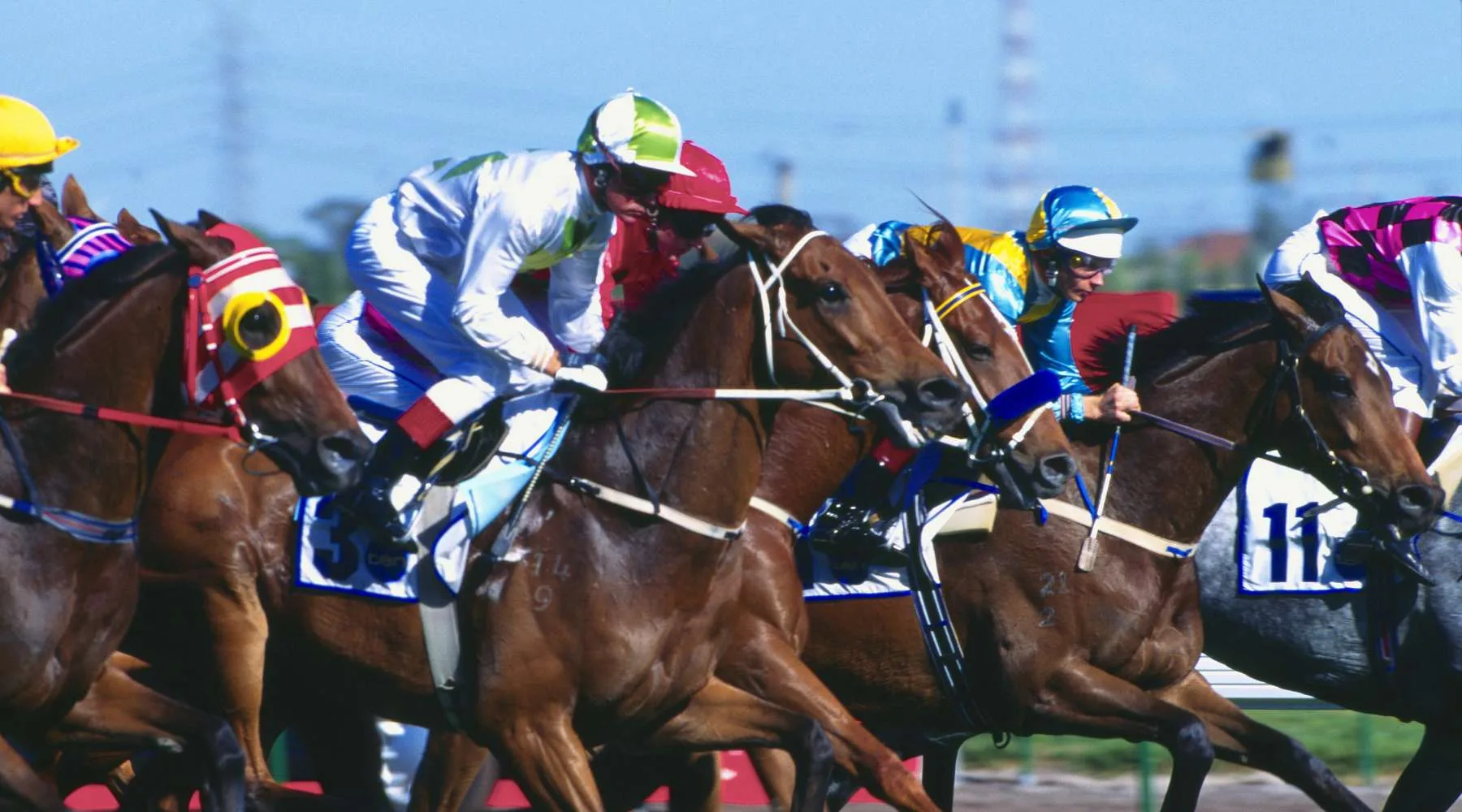 Melbourne Cup rate change: How often does it happen? | Finder