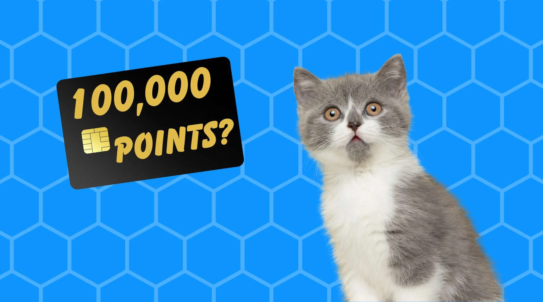 ANZ, Amex + more: Get 100K points with Feb's top rewards cards